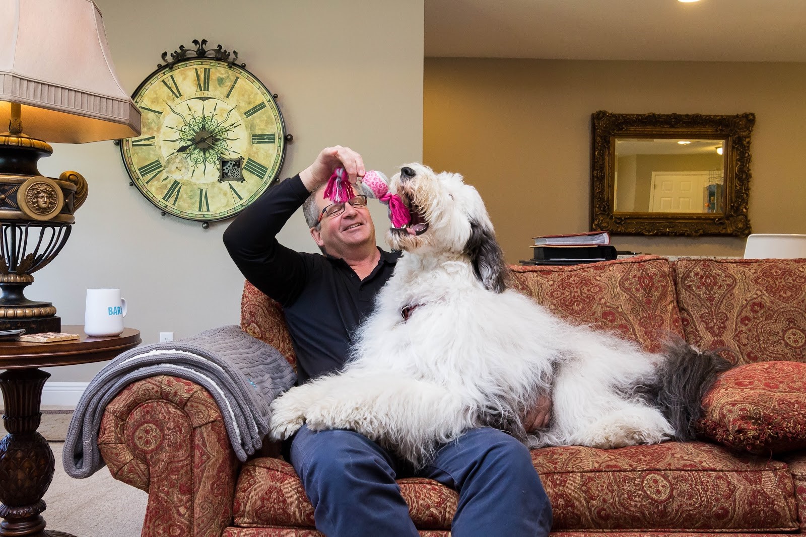 Zammy the Giant Sheepadoodle: Warming Hearts and Spreading Joy is His ...