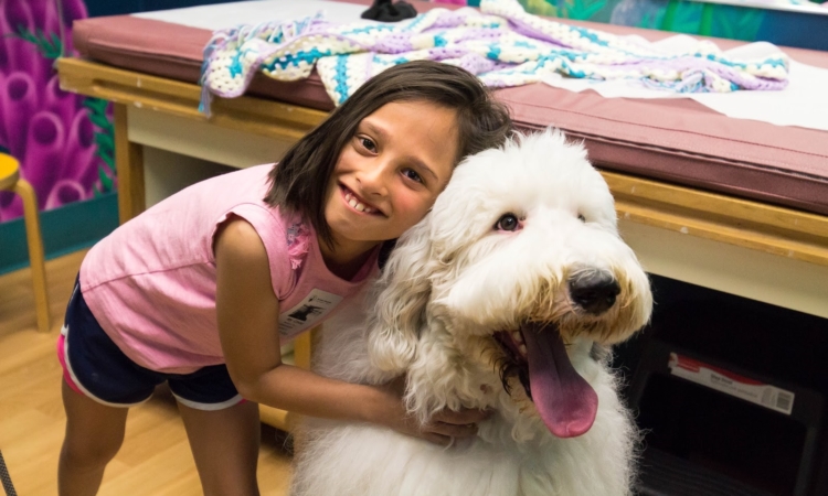 Zammy the Giant Sheepadoodle: Warming Hearts and Spreading Joy is His ...