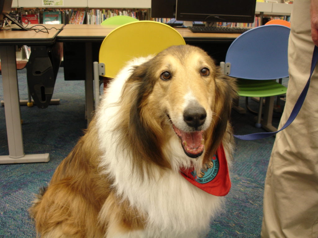 Take a “Paws” and Read - Channel Kindness